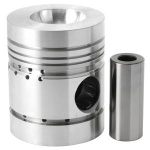 Stempel 100mm - Standard med diameter uden ringe | Sagroparts